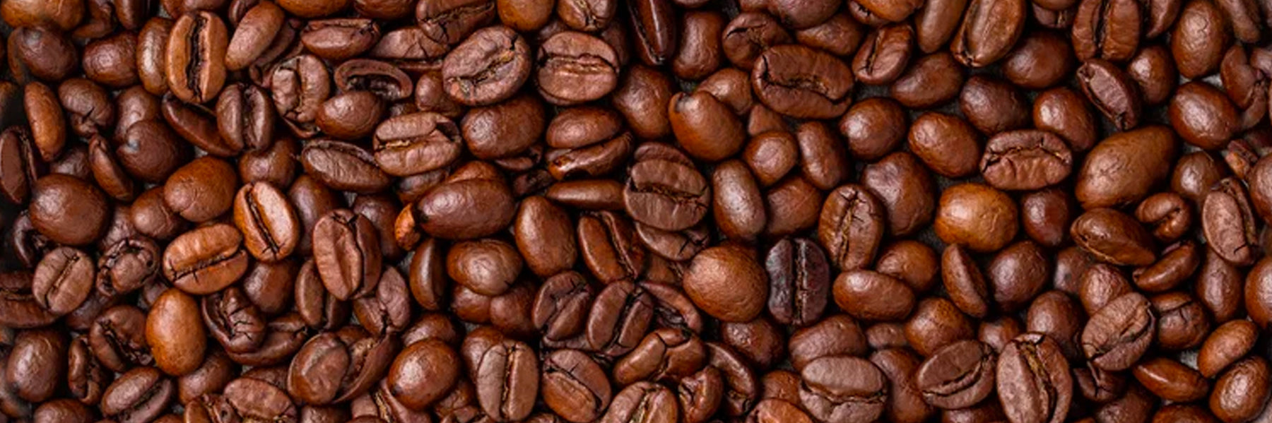 Mago Maga Coffee Bean Roaster