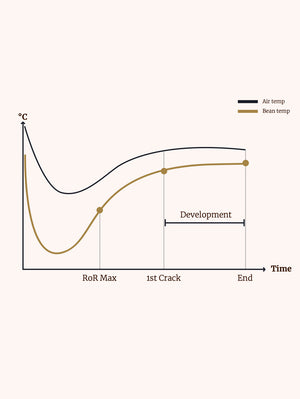 Mago Maga Coffee Bean Roaster