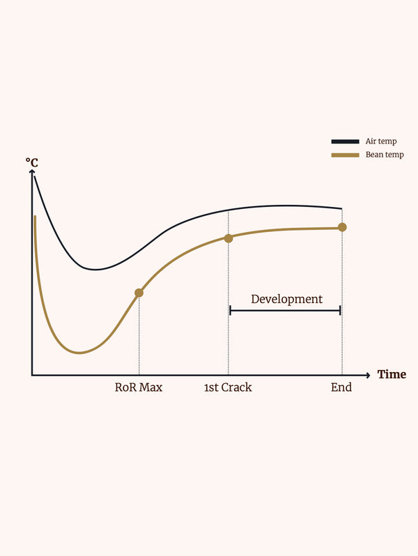 Mago Maga Coffee Bean Roaster